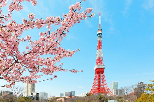 Japan Day Tours | UHI